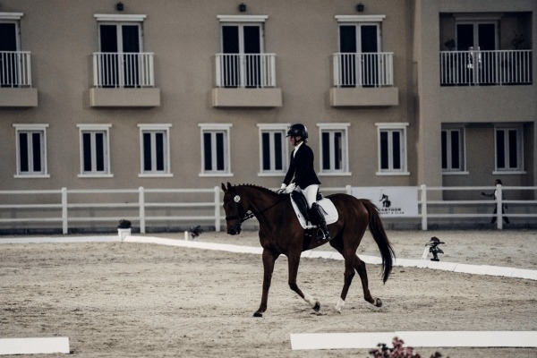 Affiliated Dressage Competition 2019